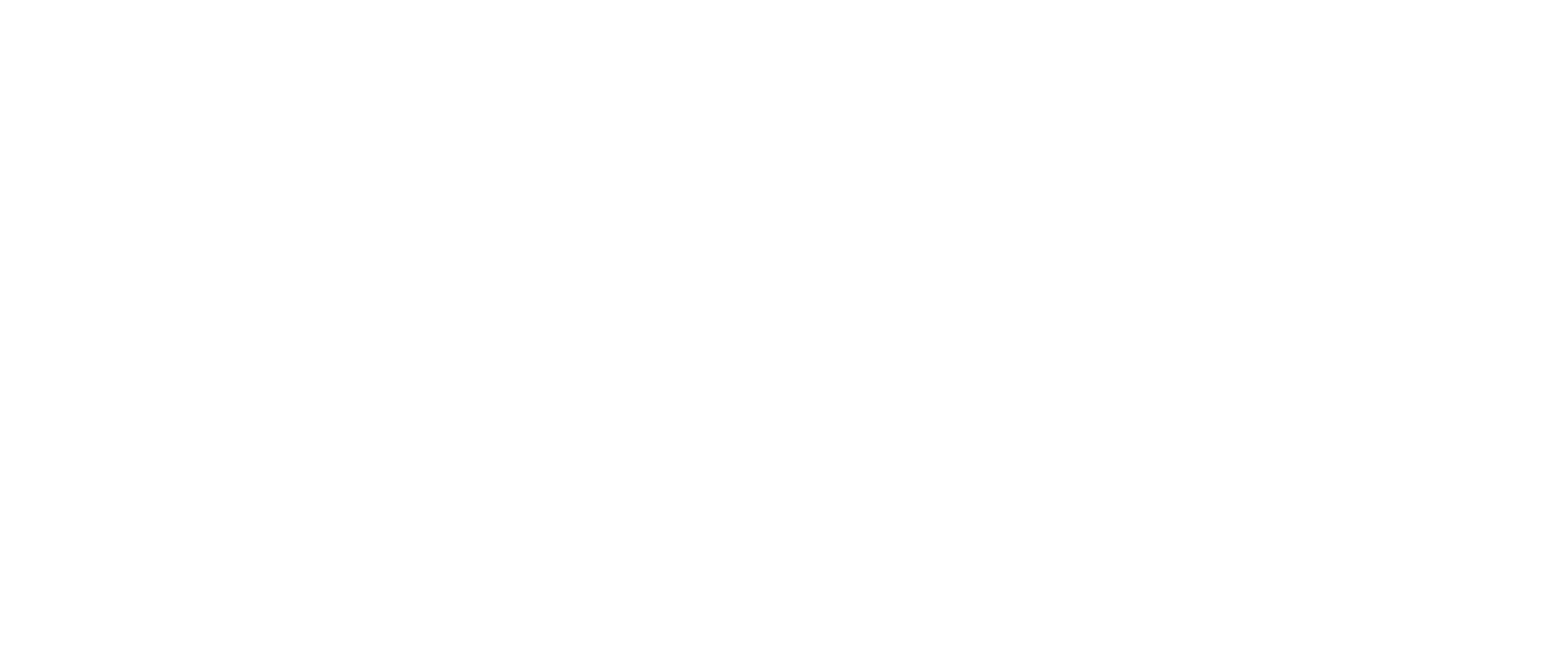 Vertice Mobile Healthcare